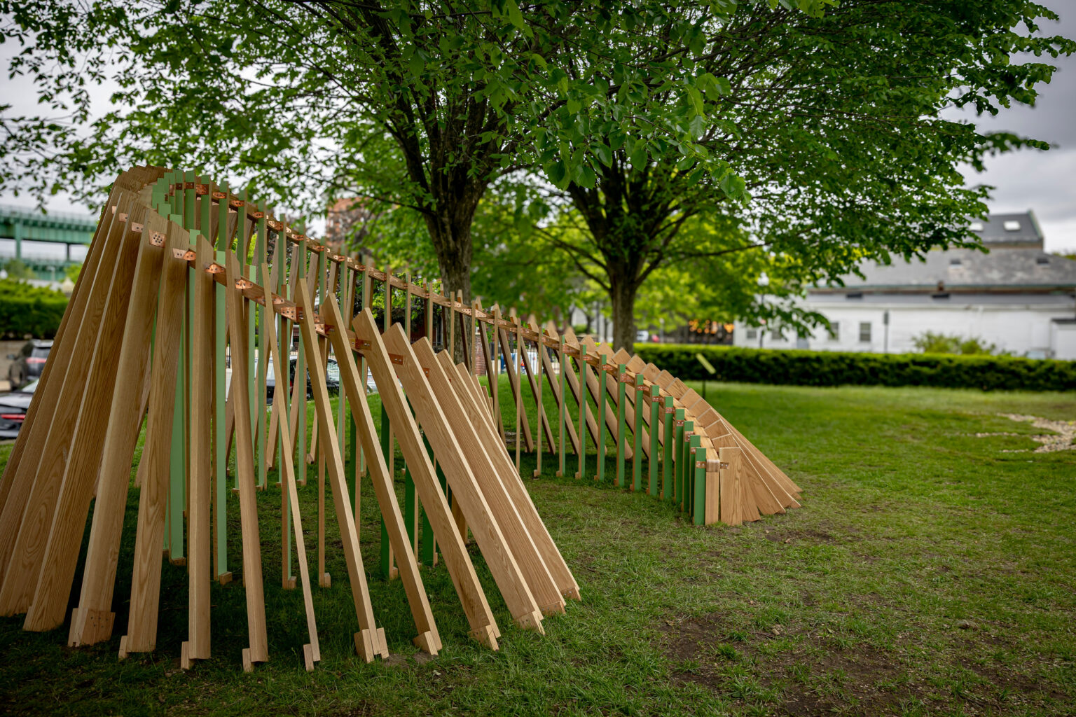 Alison Croney Moses – Rappaport